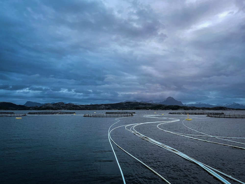 Lithuanian Engineers Transforming the Industry, Uniting 200 Million ...